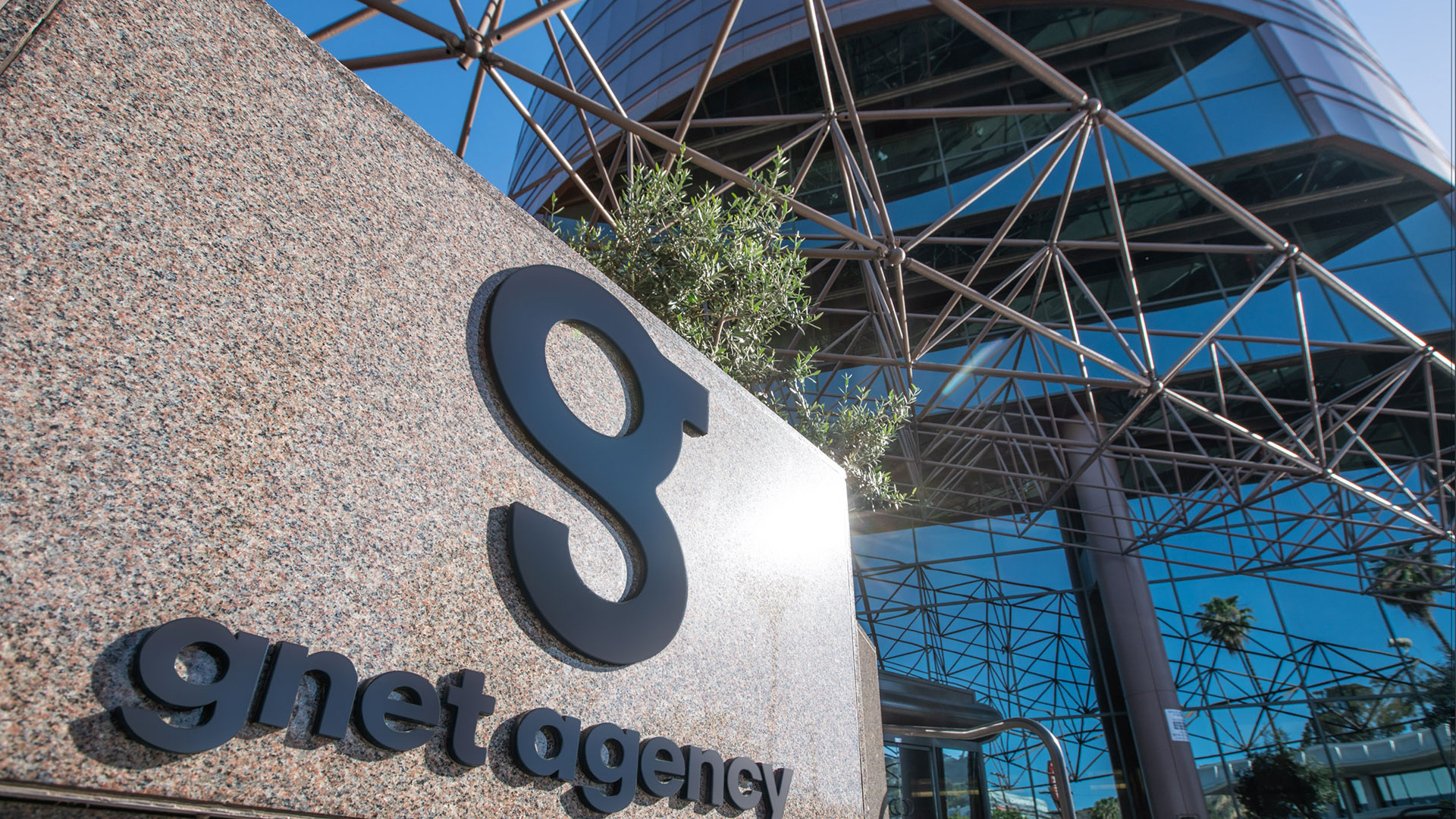 How Failures, and a Fan-Focused Vision, Led to Our Agency's Success ...