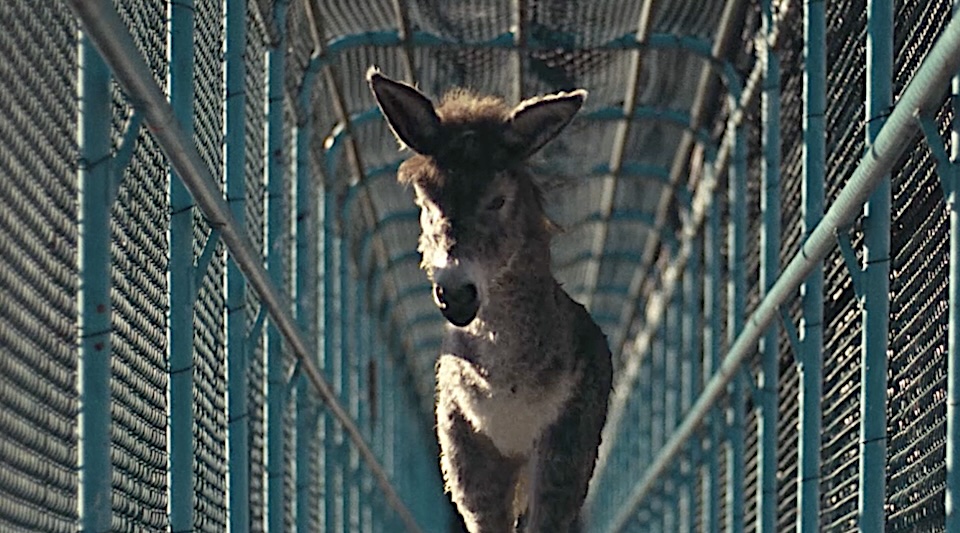 Rona Made the Most ‘Half-Assed’ Campaign Ever | Muse by Clios