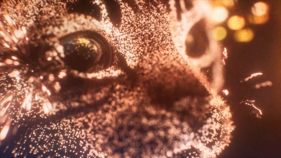 Animals’ Fear of Fireworks Blazes Across the Sky | Muse by Clios